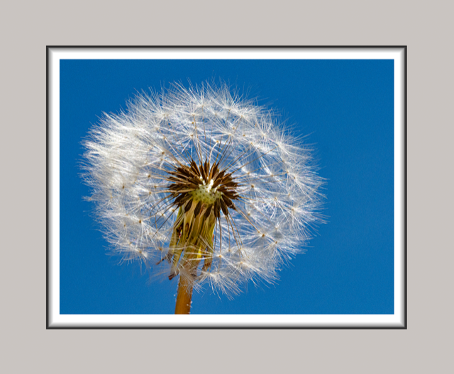 Artist profile: Maria Rudolph