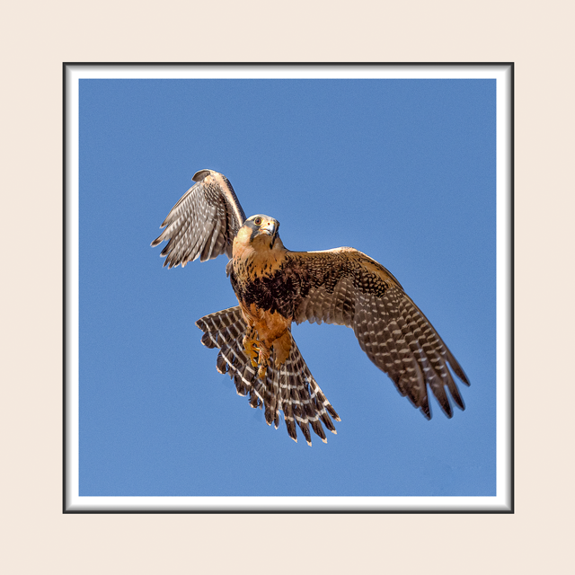 Artist profile: Maria Rudolph