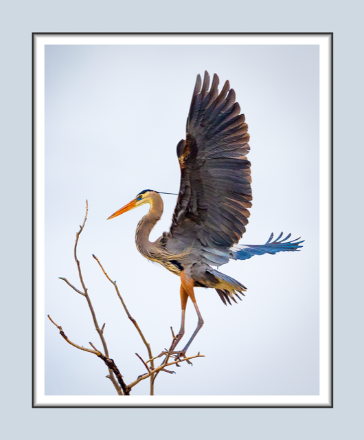 Artist profile: Maria Rudolph